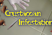 Crustacean Infestation, 2020 | 48HOURS Screening Room