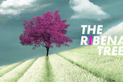 Ribena Tree, 2021 | 48HOURS Screening Room